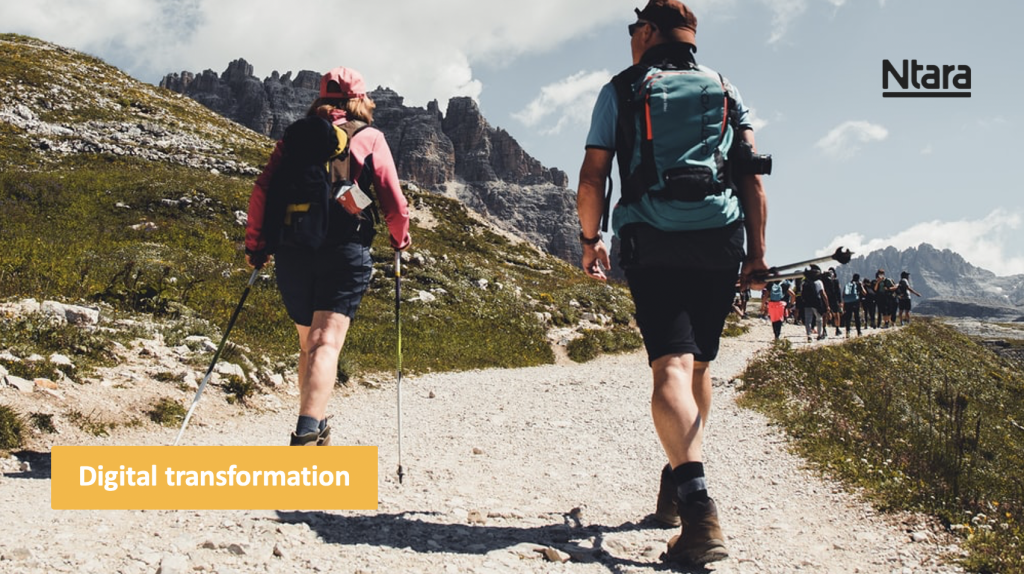 What is a digital transformation agency?