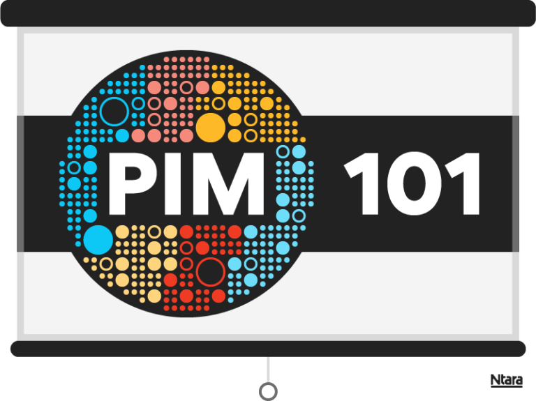 PIM Implementation: Proven Tips for Success | Ntara