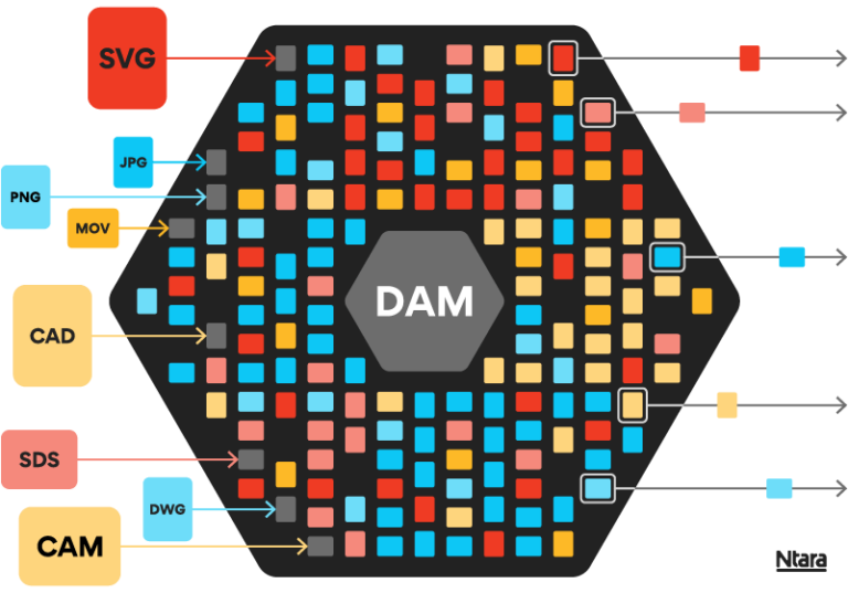 What is digital asset management? | Ntara