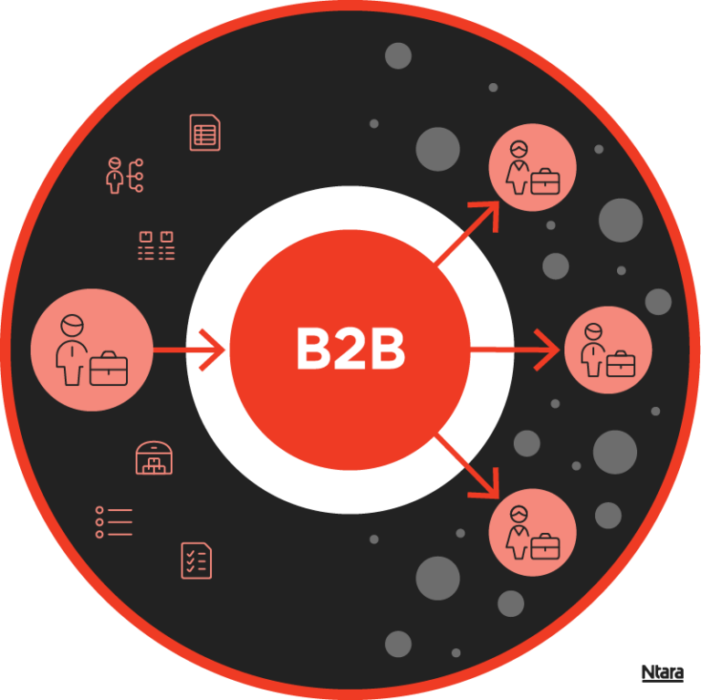 B2B & B2C ecommerce | Ntara | ecommerce agency