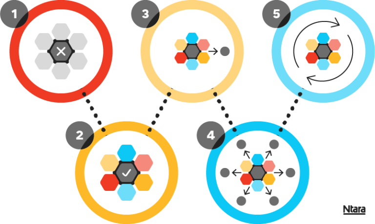How to choose a DAM system | Ntara